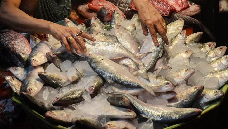 Assam's fish production rises over 33 per cent in 4 years: Official