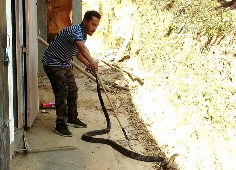 Cachar Forest Division provides snake rescue kits to young herpetologists