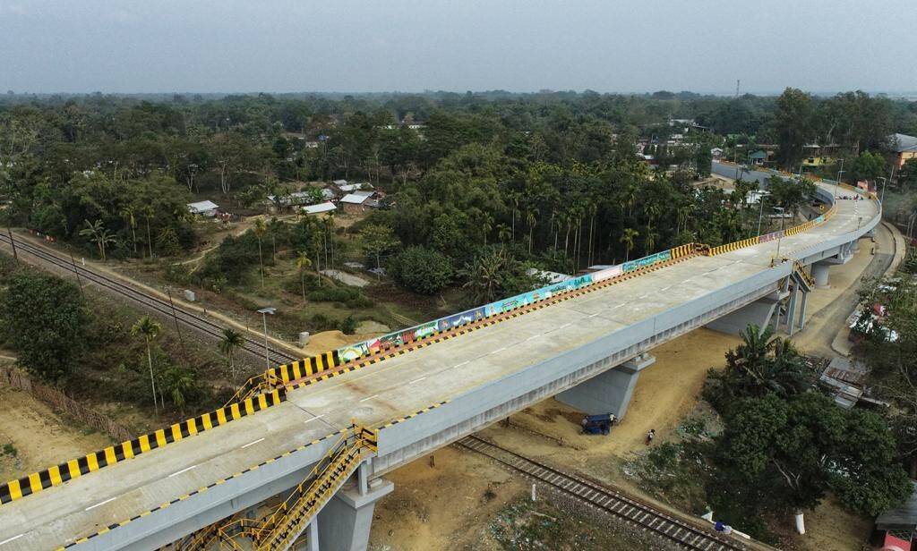 Assam Cabinet assures to plant 10 new trees for every tree chopped for ...