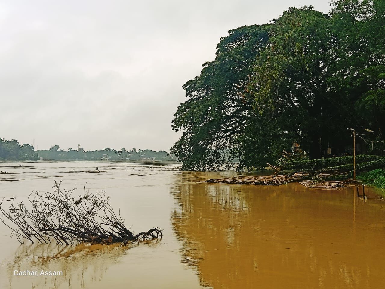 Assam Floods: Three dead in Borkhola, over 41,000 people affected in Cachar