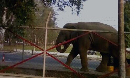 Guwahati: Army jawan crushed to death in Narengi Army Cantonment