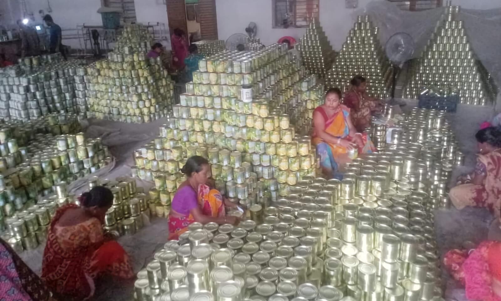 Tripura starts production of canned pineapple