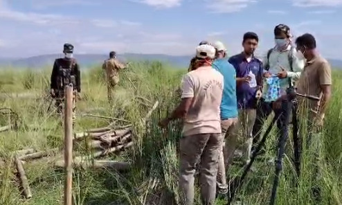 Biswanath: Carcass of female tiger found in Kaziranga National Park