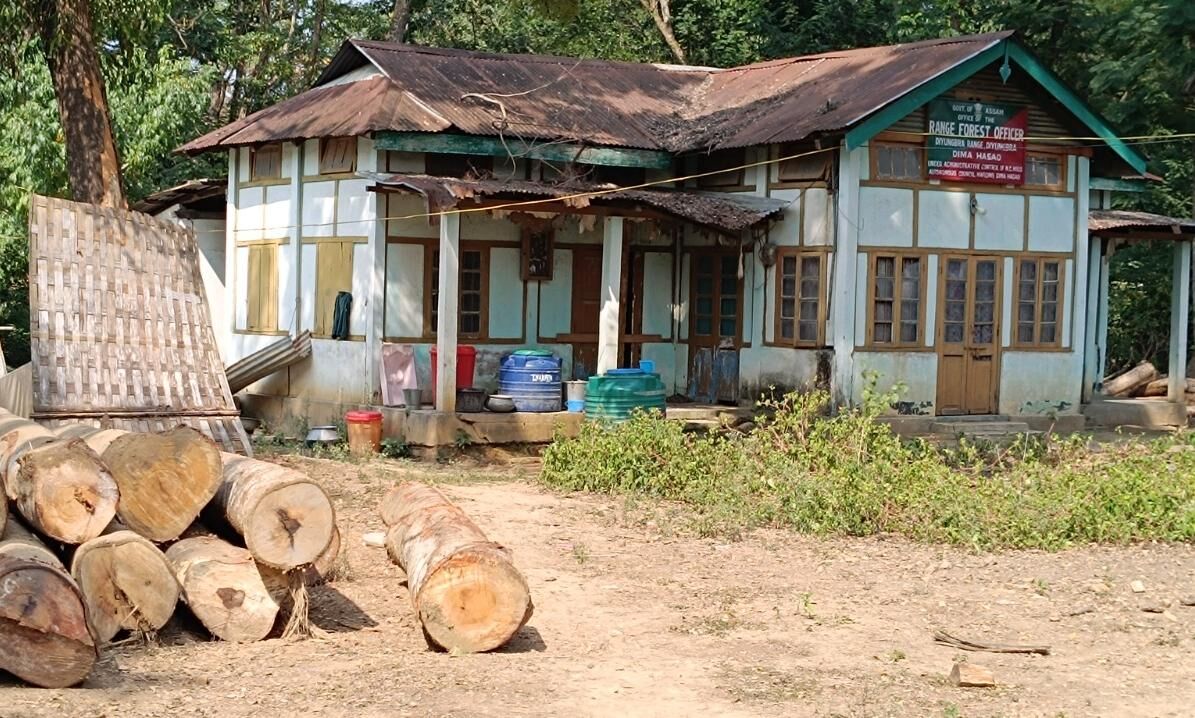 Assam: Forest officials seize illegal logs at Diyungbra