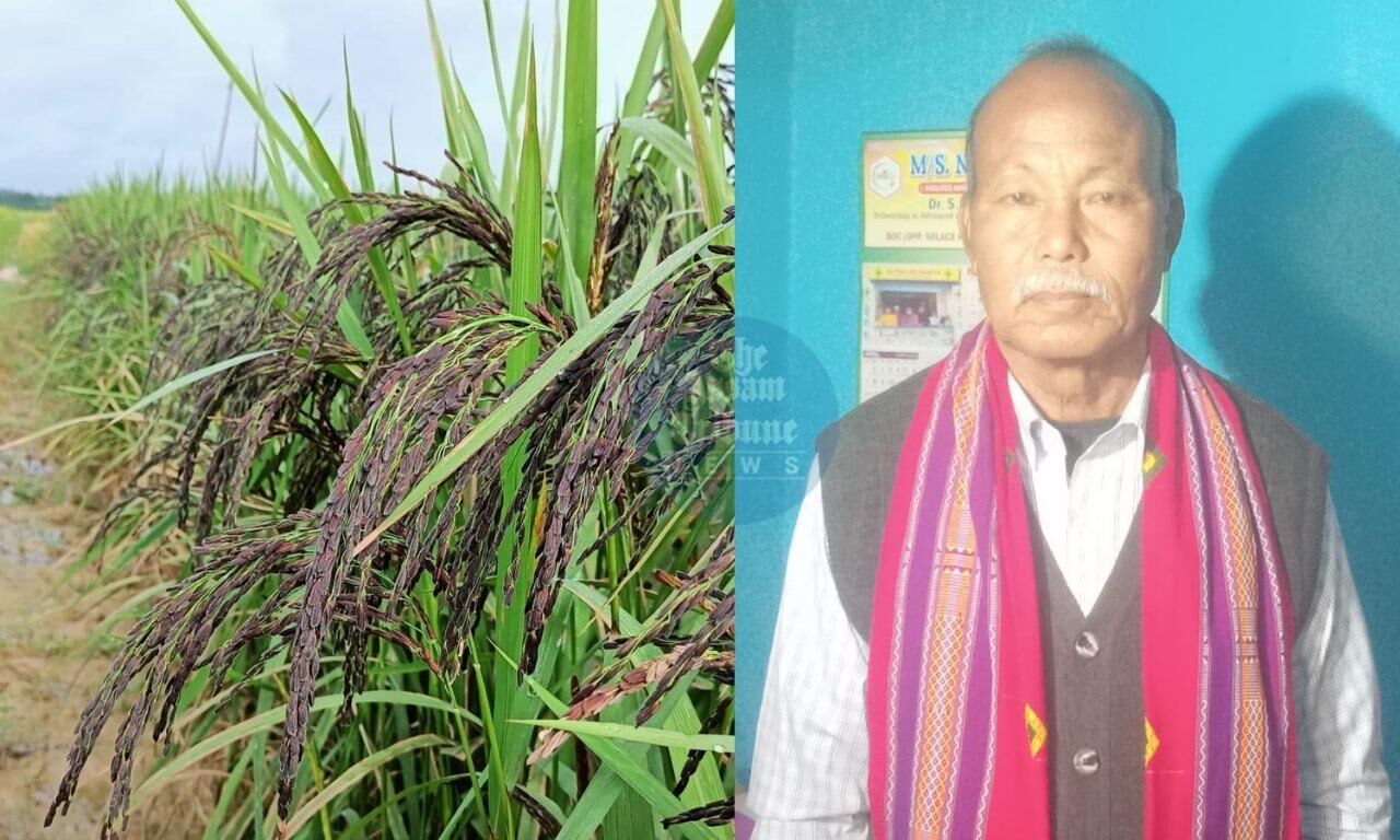 Renowned black rice farmer Upendra Rabha honoured with 'Assam Gaurav Award'