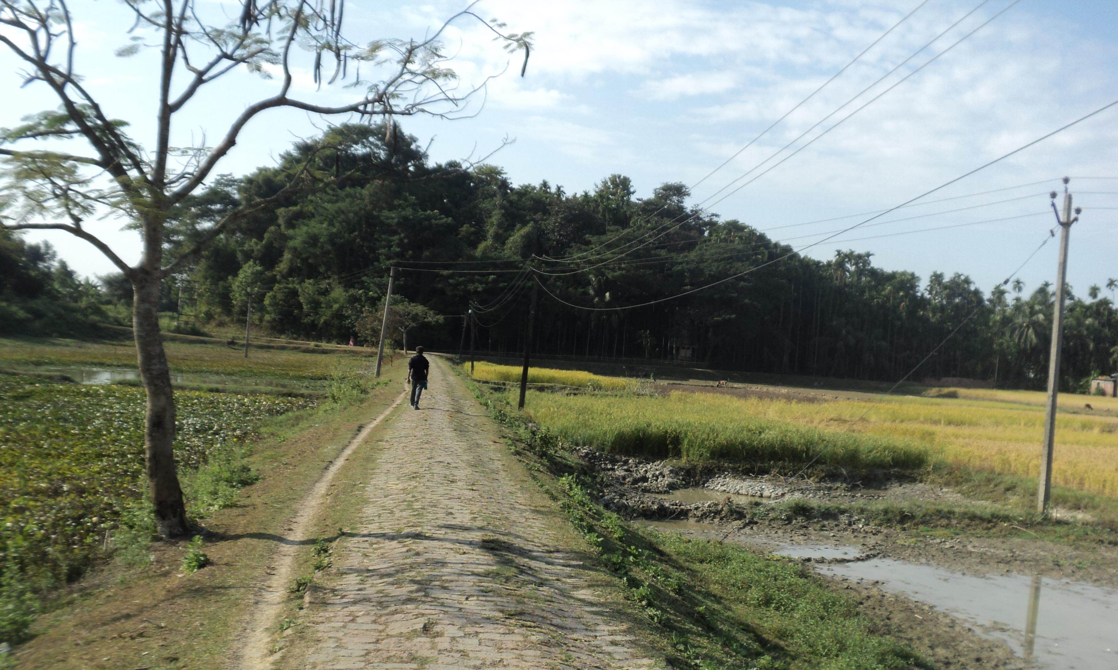 Assam: Over Rs 1500 cr approved for transforming rural road network