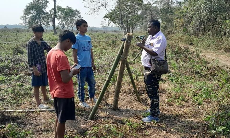 Solar fences installed to foster human-elephant coexistence at Raimona ...
