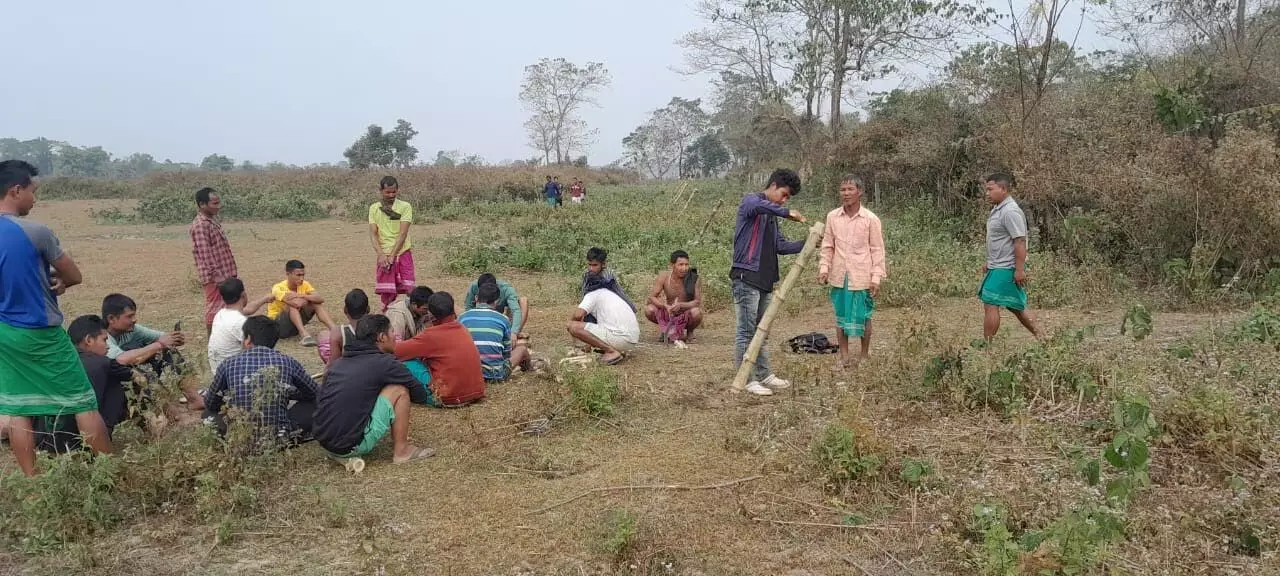Solar fences installed to foster human-elephant coexistence at Raimona ...