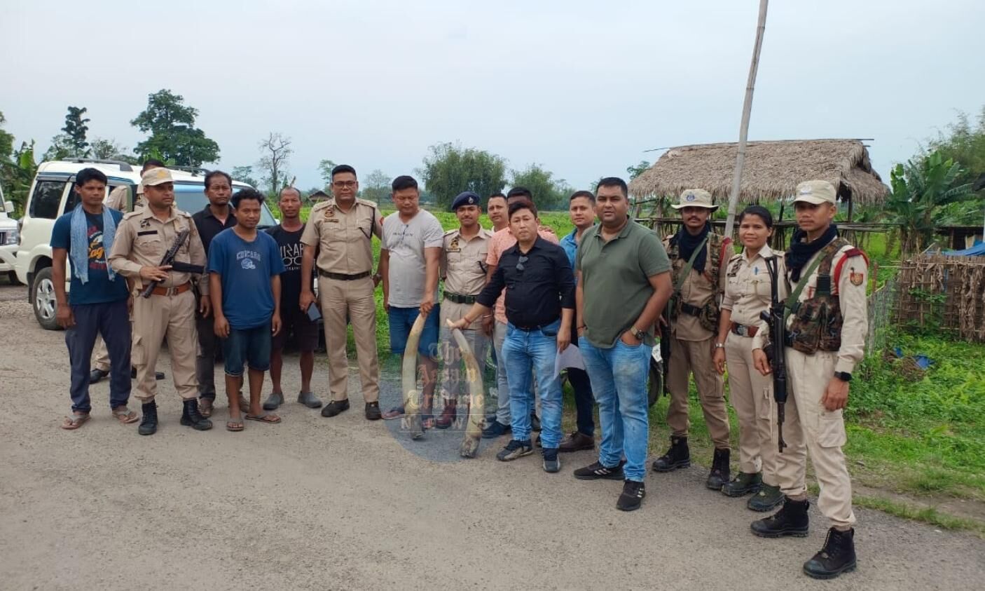 Two ivory tusks recovered during STF raid in Assam-Arunachal Pradesh border