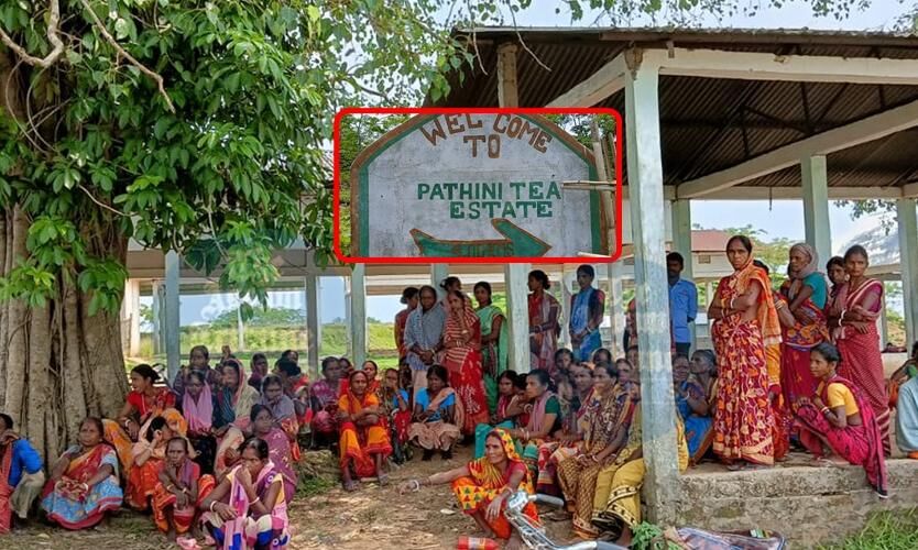 Assam: Tense situation prevails after sudden lockout declared in ...