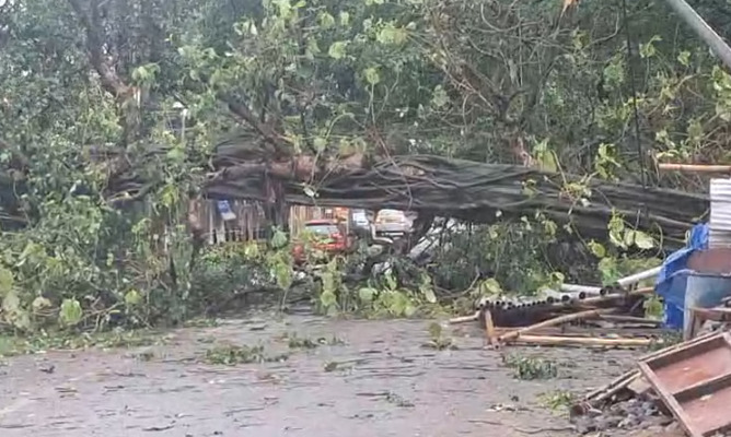 Cyclone Remal expected to weaken over Eastern Assam: IMD