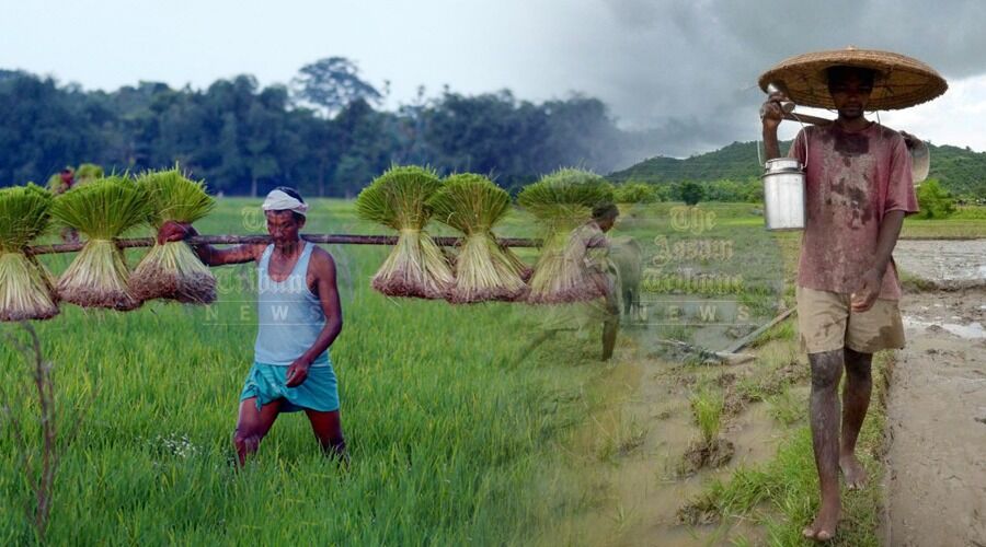 Assam's 18.87 L farmers to receive Rs 6,000 yearly under PM-Kisan project