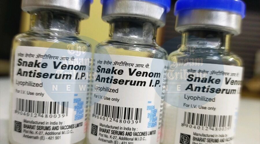 Breakthrough in next-gen anti-venom development: Guwahati scientist ...