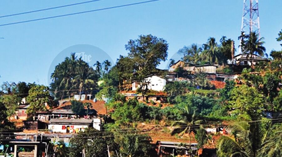 Large portion of forest areas in Kamrup (M) under encroachment: Govt