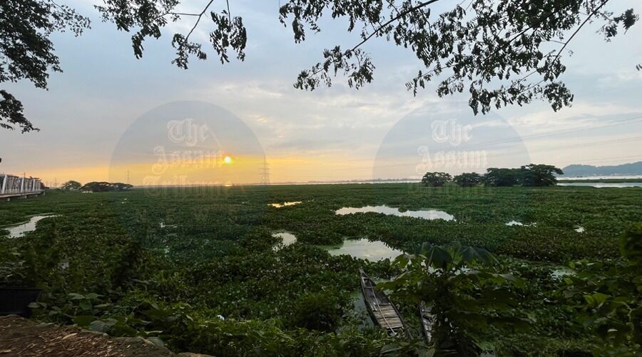 68 avian species recorded in Deepor Beel