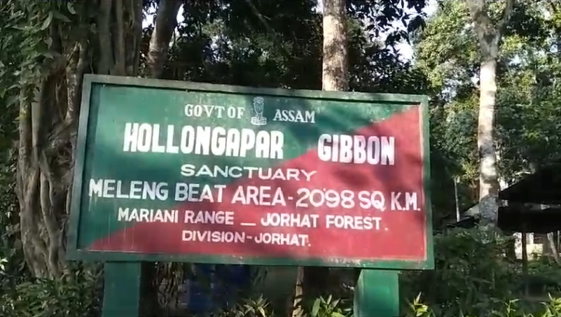 Exploratory drilling permitted in Hollongapar Sanctuary ESZ; extraction ...