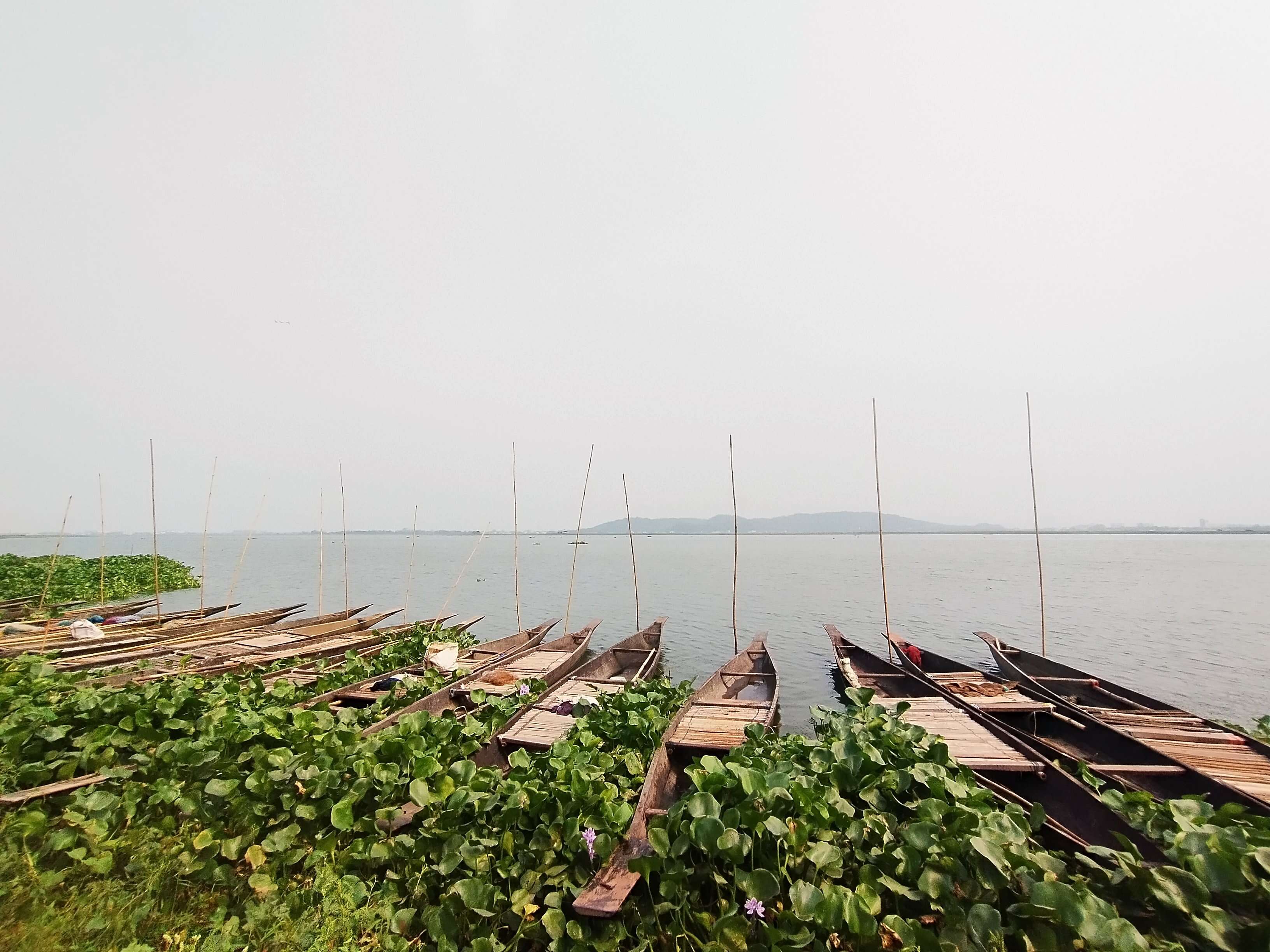 Pollution levels soar in Ramsar site Deepor Beel; activists call for ...