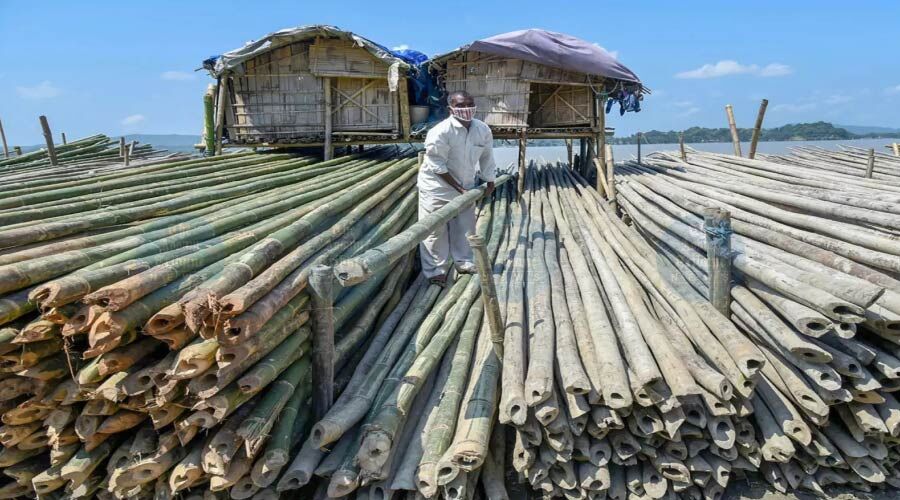 DoNER Ministry teams up with Amazon to boost bamboo trade