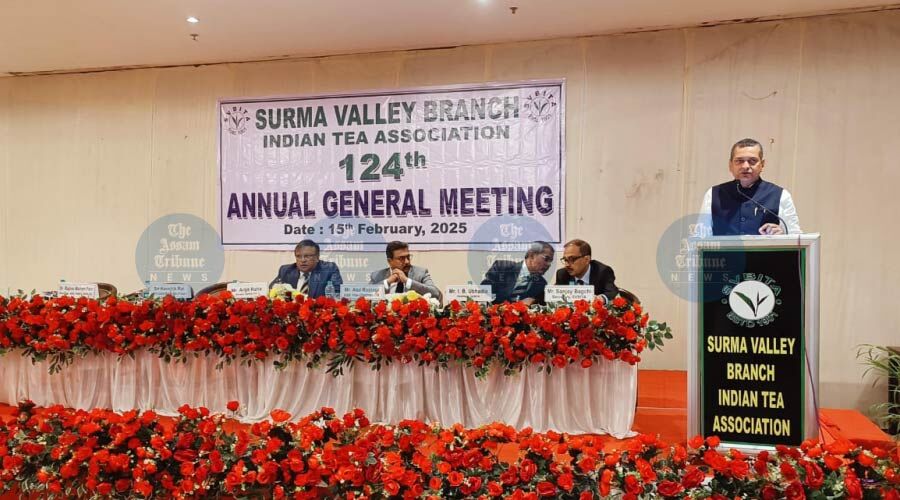 Assam budget to bring positive reforms for tea industry, assures ...