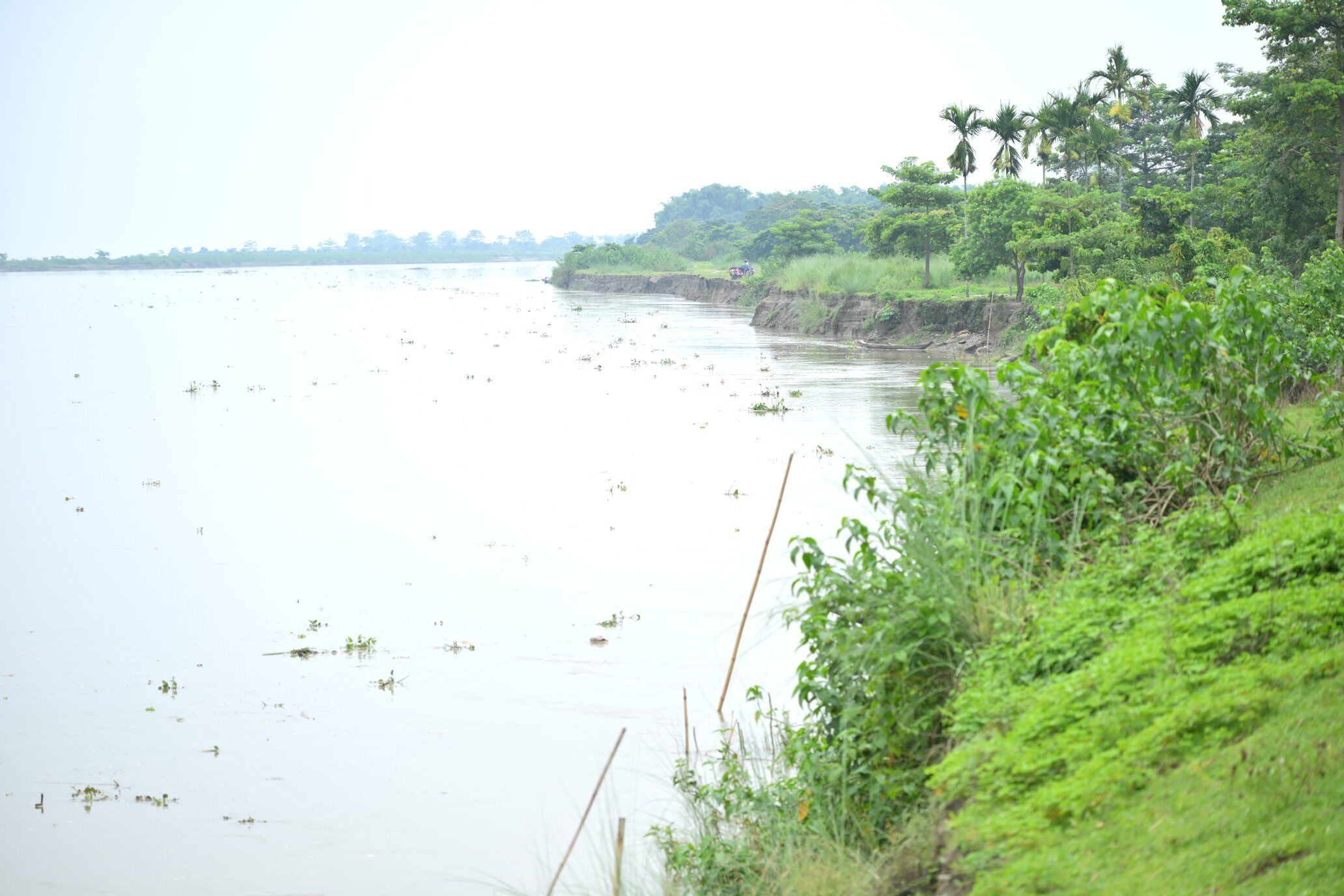 Majuli erosion study reveals 75 sq km land loss, 58 sq km deposition ...