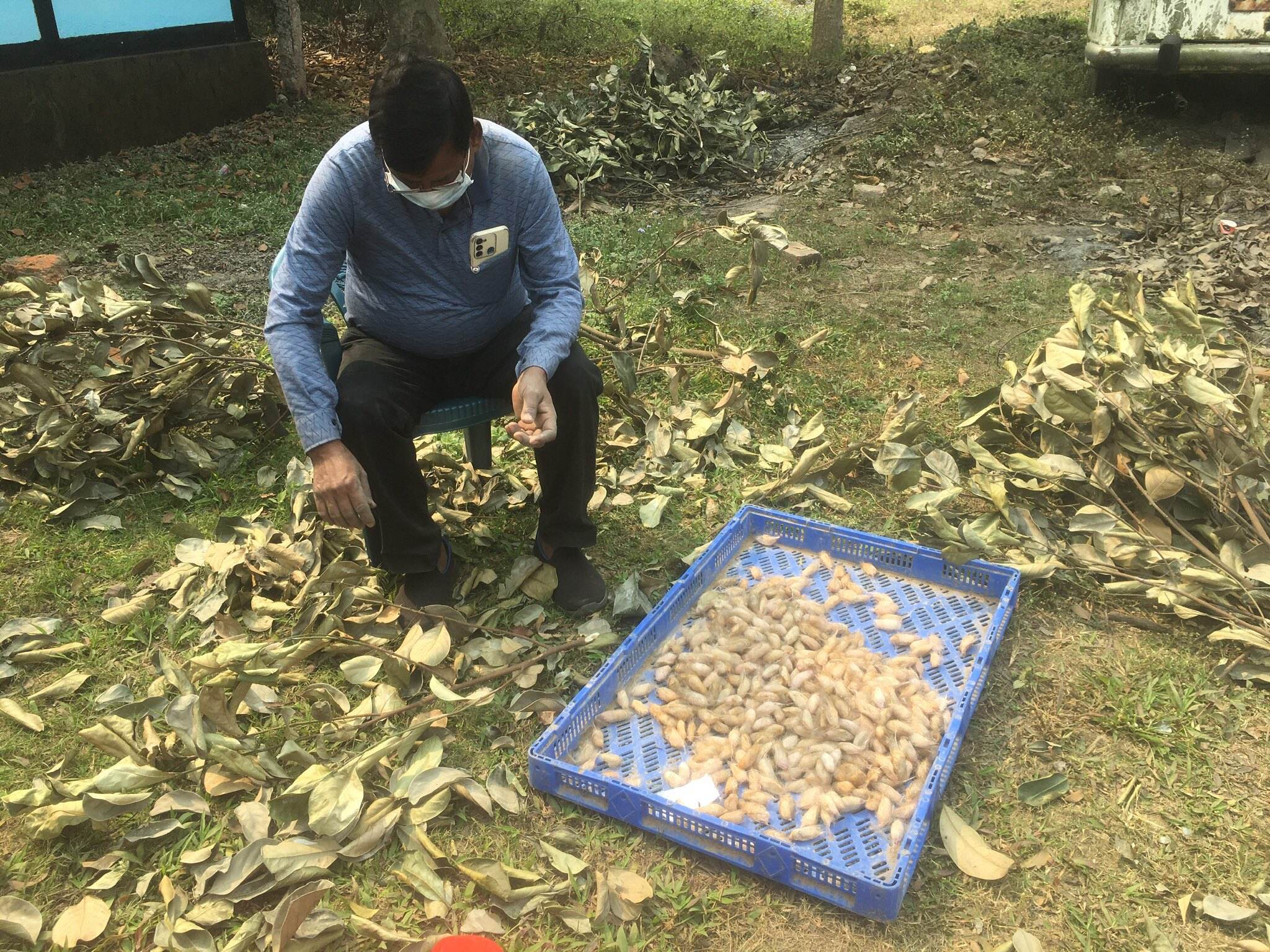 Revamped Titabor Sericulture College to be ready by early 2026 ...