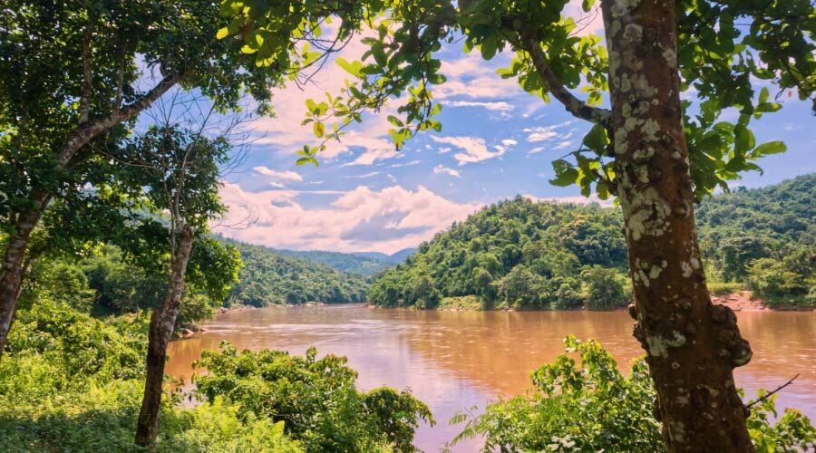 ‘No need to protest’: CM says written objection enough to stall Kulsi ...