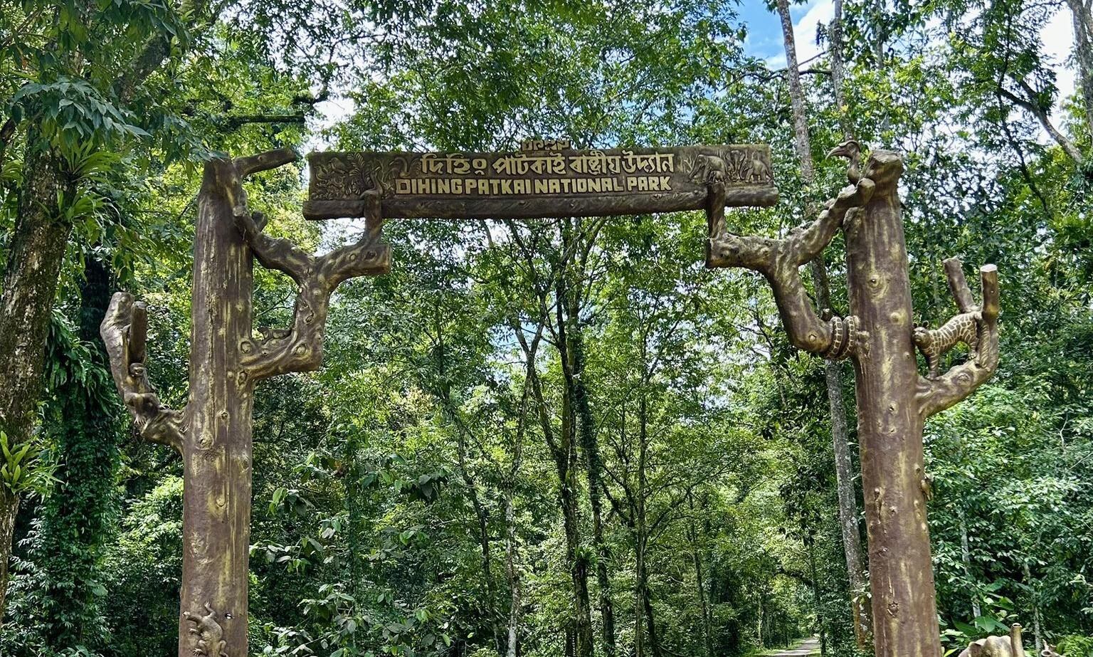 Dehing Patkai conservation at crossroads as Assam fails to act on ...