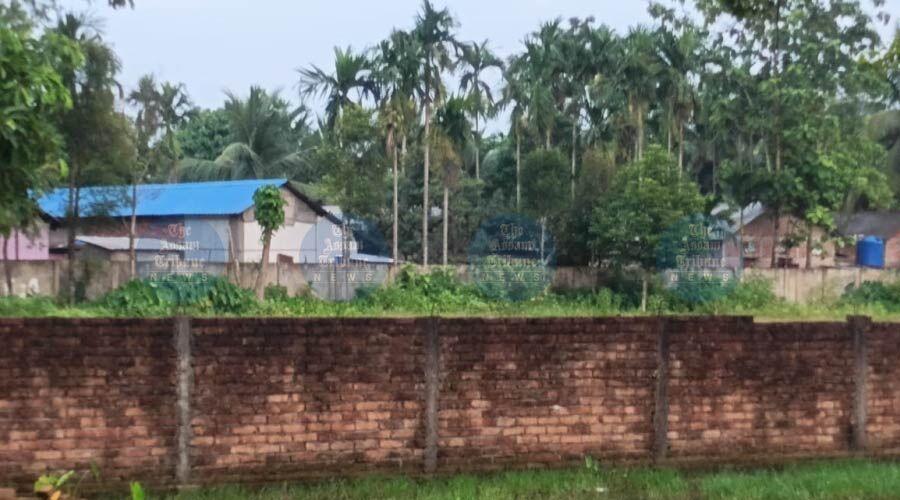 Goalpara’s Rakhyasini Pahar witnesses shift from lush greenery to ...