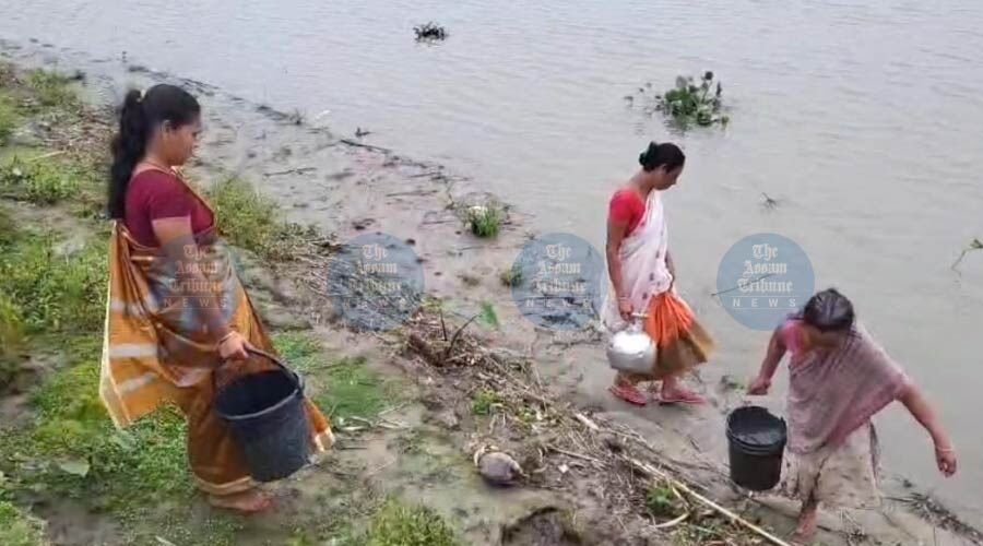 400 families in Assam’s Palashbari struggle without clean drinking water